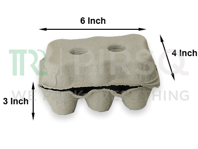 Karnataka - Buy 6 Egg Packaging Box & Use Paper Sleeve for Branding.